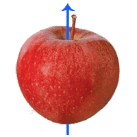 Definición de eje - Qué es, Significado y Concepto