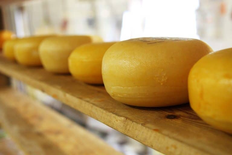 Queso - Qué es, orígenes, definición y concepto