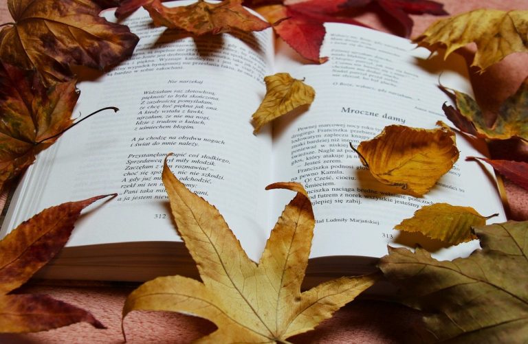 Rima - Qué es, tipos, definición y concepto