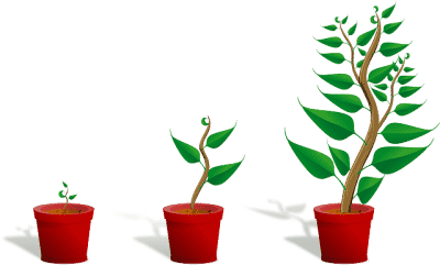 Crecimiento - Qué es, definición y concepto