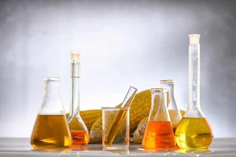 Bioquímica - Qué es, origen, definición y concepto