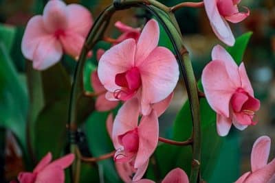 Sutil - Qué es, aplicaciones, definición y concepto