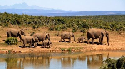 Reserva - Qué es, definición, usos y características