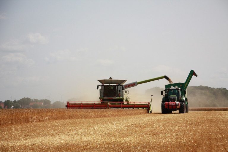 Explotación agrícola - Qué es, clasificación, definición y concepto