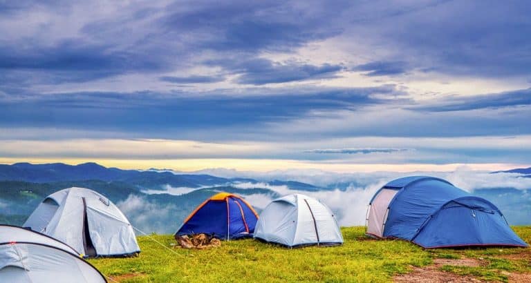 Carpa - Qué es, definición, tipos y características