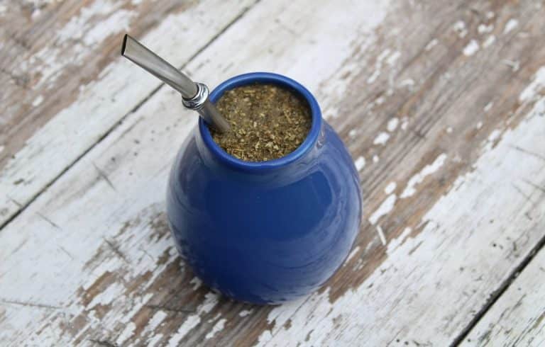 Mate - Qué es, beneficios, usos y en el deporte