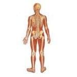 Definición de posterior - Qué es, Significado y Concepto