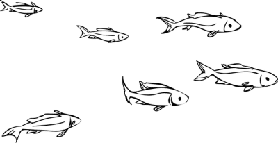 Rémora - Qué es, definición y concepto