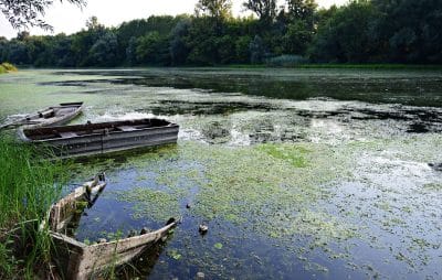 Remanso - Qué es, definición y concepto