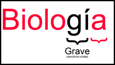 Definición de palabras graves - Qué es, Significado y Concepto