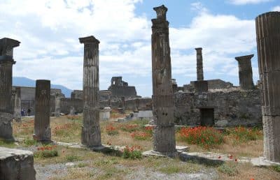 Palestra - Qué es, definición y concepto