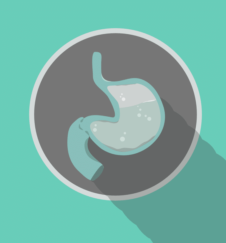 Píloro - Qué es, definición y concepto