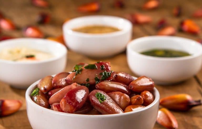 Piñón - Qué es, beneficios, definición y concepto