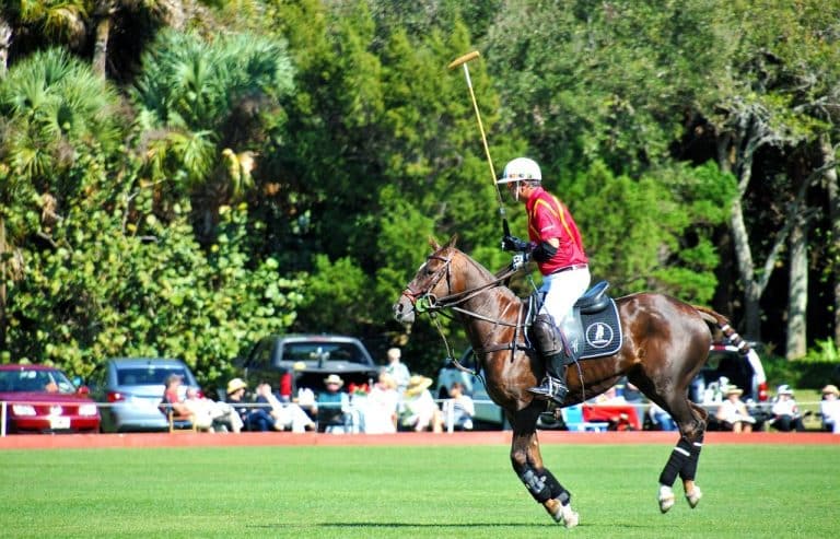 Polo - Qué es, definición, características y usos