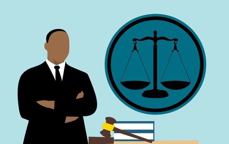 Punga - Qué es, definición y concepto