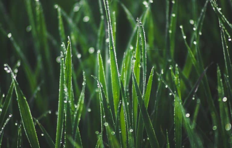 Punto de rocío - Qué es, clasificación, definición y concepto