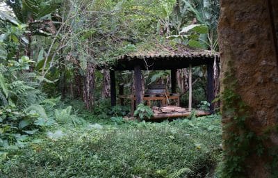 Quilombo - Qué es, definición, origen y características