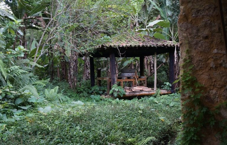 Quilombo - Qué es, definición, origen y características