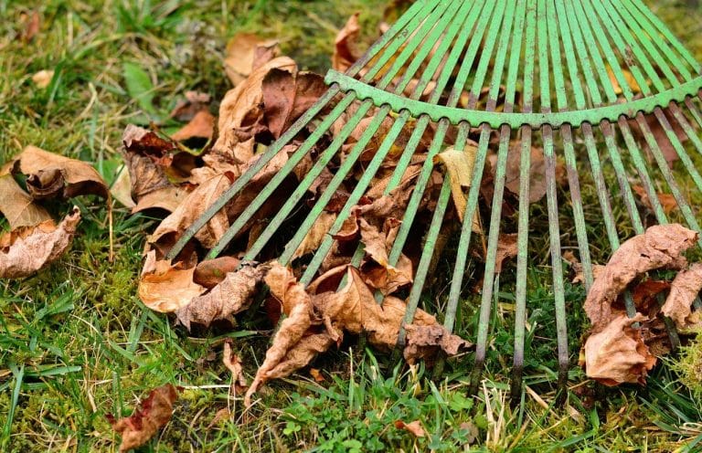 Rastrillo - Qué es, definición, tipos y usos