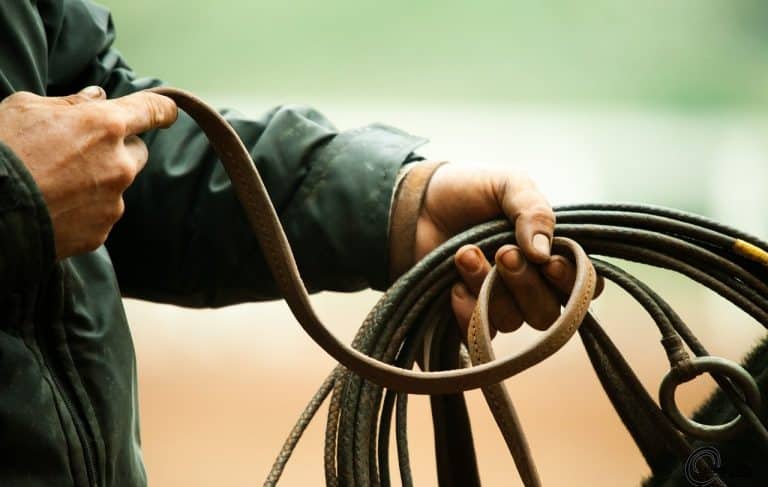 Reata - Qué es, definición y concepto