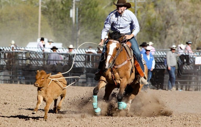 Reata - Qué es, definición y concepto