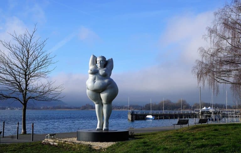 Rechoncho - Qué es, características, definición y concepto