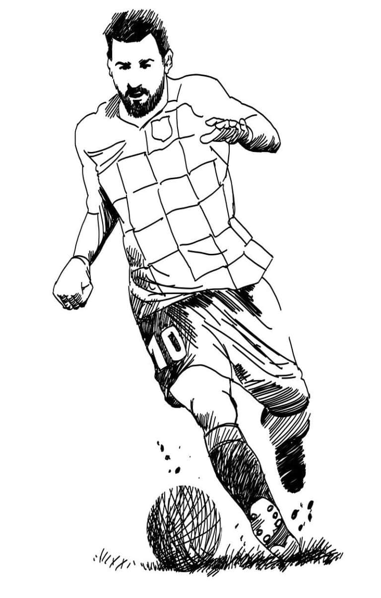 Regate - Qué es, definición, características y clasificación