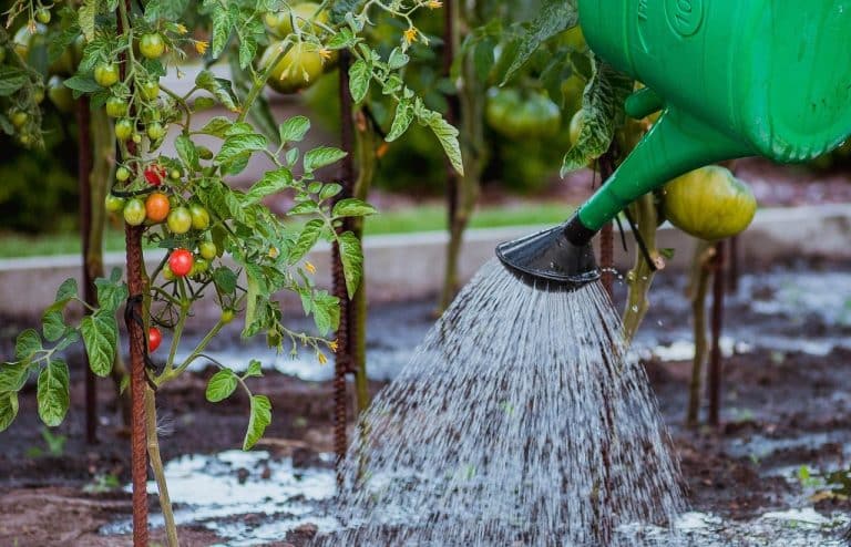 Riego - Qué es, métodos, definición y concepto