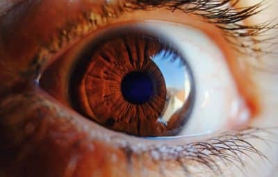 Retina - Qué es, definición y concepto