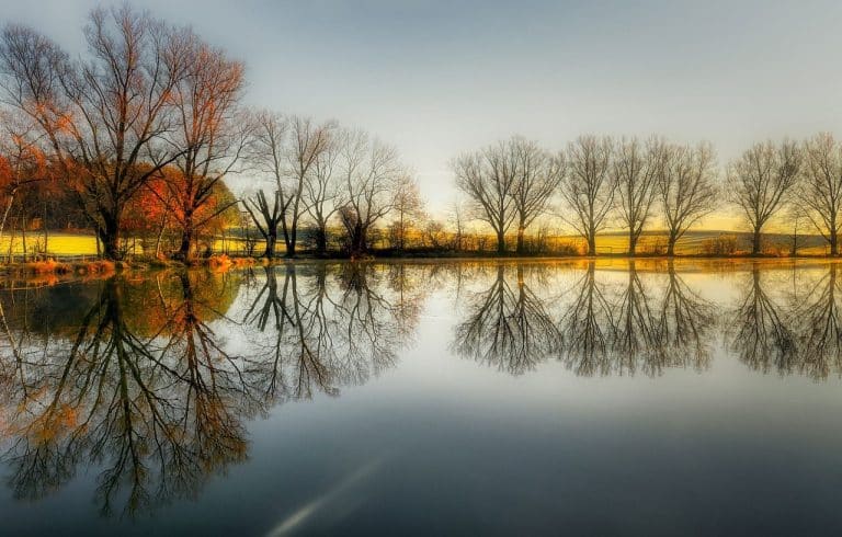 Ribera - Qué es, definición y concepto