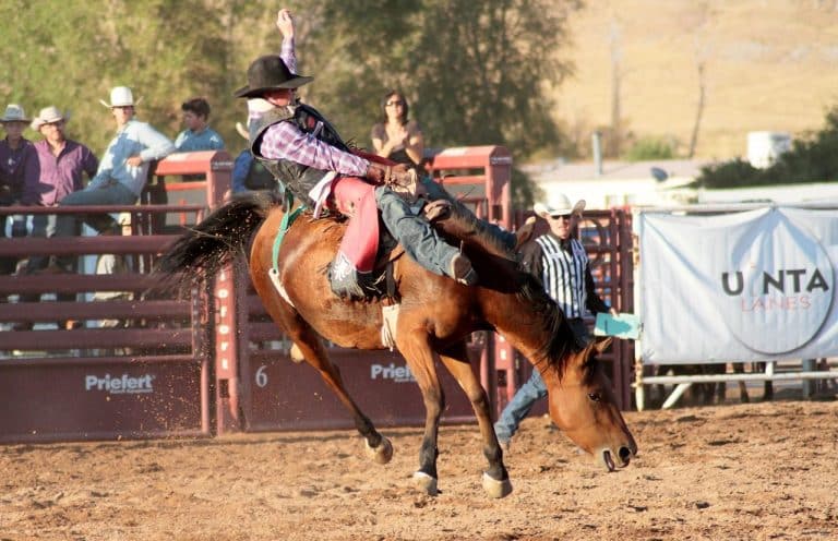 Rodeo - Qué es, definición y concepto
