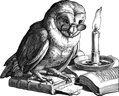 Sabiduría - Qué es, definición y concepto