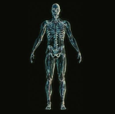 Sacro - Qué es, definición y concepto