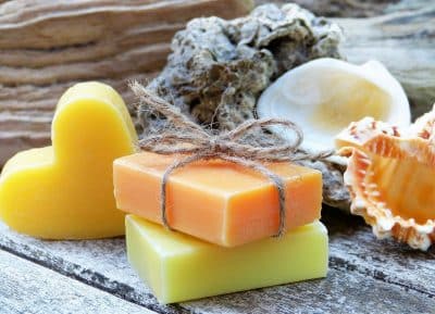 Sebo - Qué es, definición, características y beneficios