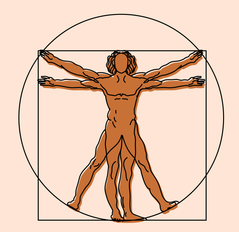 Simetría bilateral - Qué es, definición y concepto