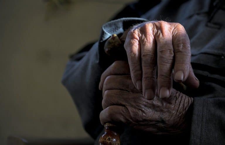 Senescencia - Qué es, definición y concepto