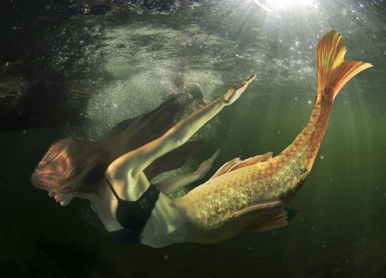 Sirena - Qué es, definición y concepto