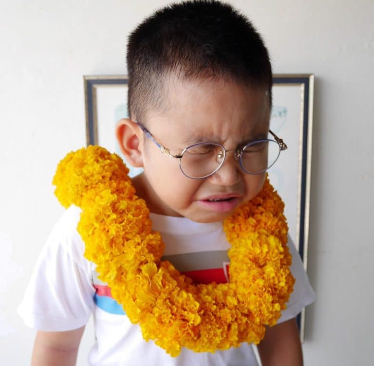 Sollozo - Qué es, definición y concepto