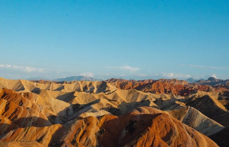 Terrestre - Qué es, usos, definición y concepto