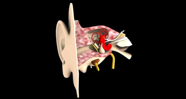 Tímpano - Qué es, usos, definición y concepto