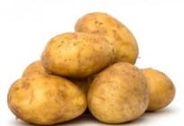 Tubérculo - Qué es, definición y concepto