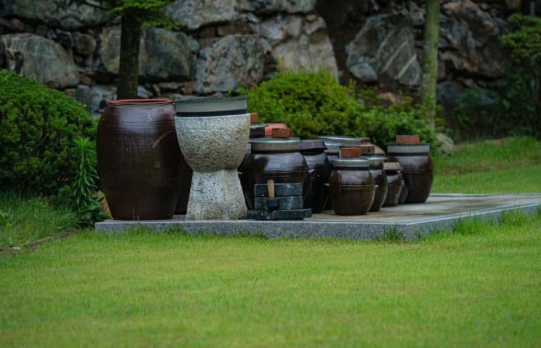 Vasija - Qué es, etimología, historia y tipos