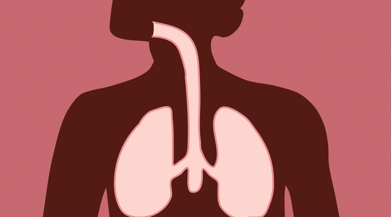 Vía aérea - Qué es, en la anatomía, definición y concepto