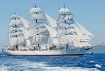 Velamen - Qué es, definición y concepto