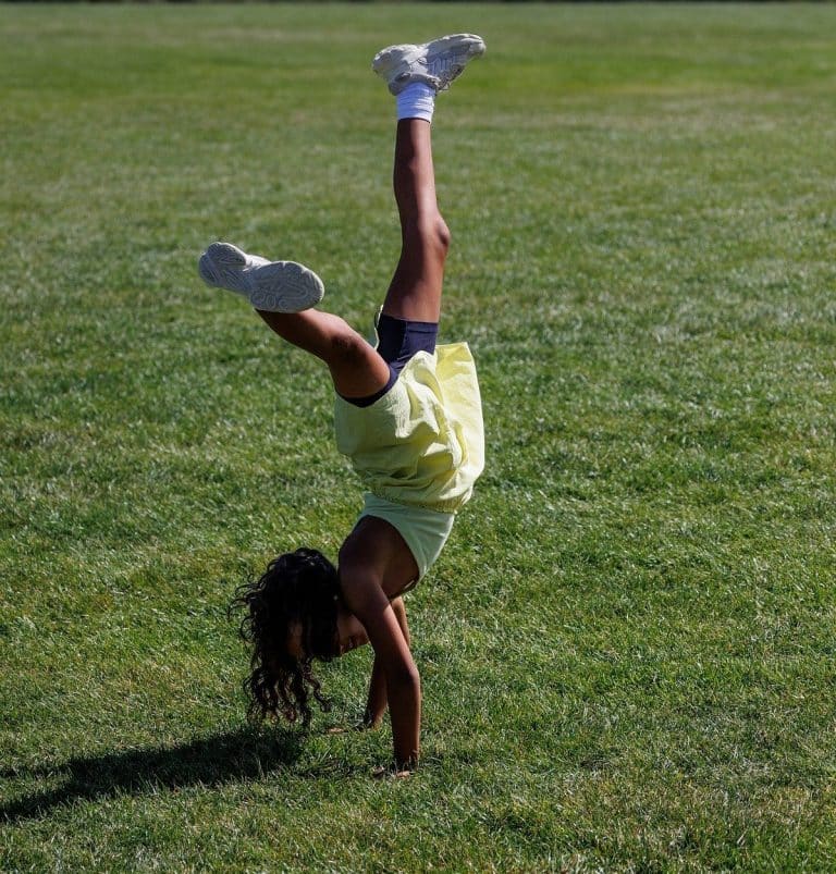 Vertical - Qué es, definición y concepto