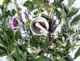 Definición de alcaloides - Qué es, Significado y Concepto