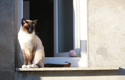 Alféizar - Qué es, características, definición y concepto