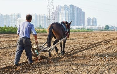 Arado - Qué es, definición, historia y tipos