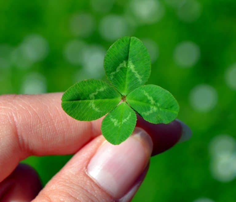 Azar - Qué es, disciplinas, definición y concepto