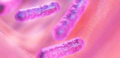 Bacilo - Qué es, beneficios, definición y concepto